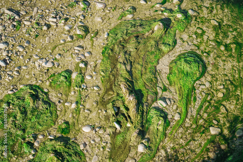 Green algae in a mountain river highlight environmental issues ...