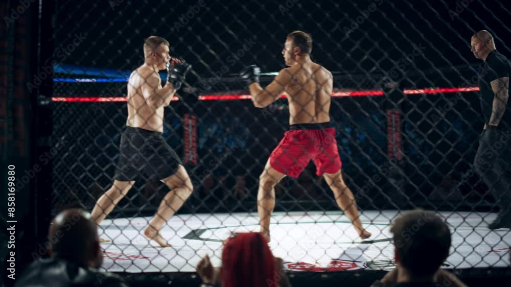 Heated MMA Bout with Two Men Engaging in a Gripping Battle of Strength ...