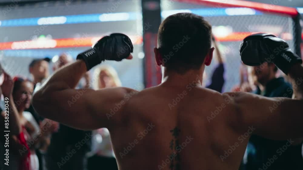 Mixed Martial Artist Entering the Arena to a Standing Ovation in the ...