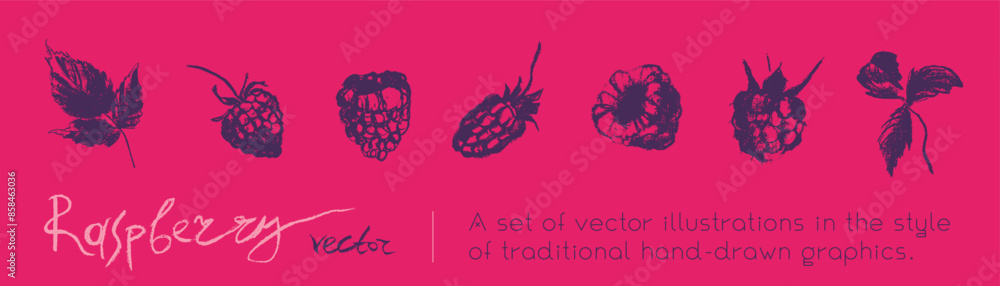 Raspberry icons. Raspberries set of vector symbols. Raspberries logo ...