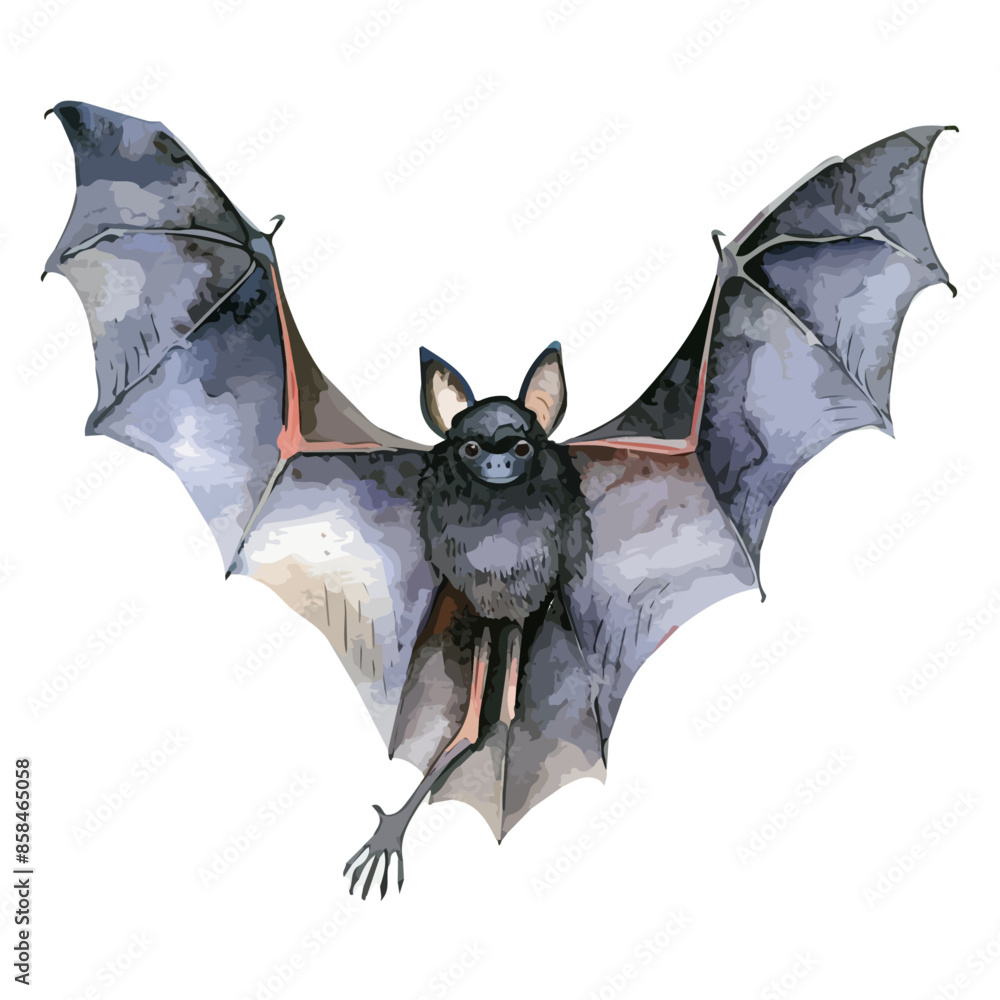 Watercolor drawing vector of a bat, isolated on a white background ...