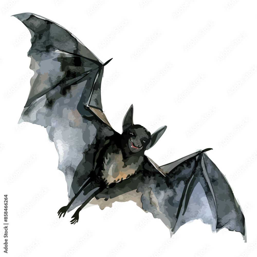 Watercolor painting of a bat, isolated on a white background, bat ...