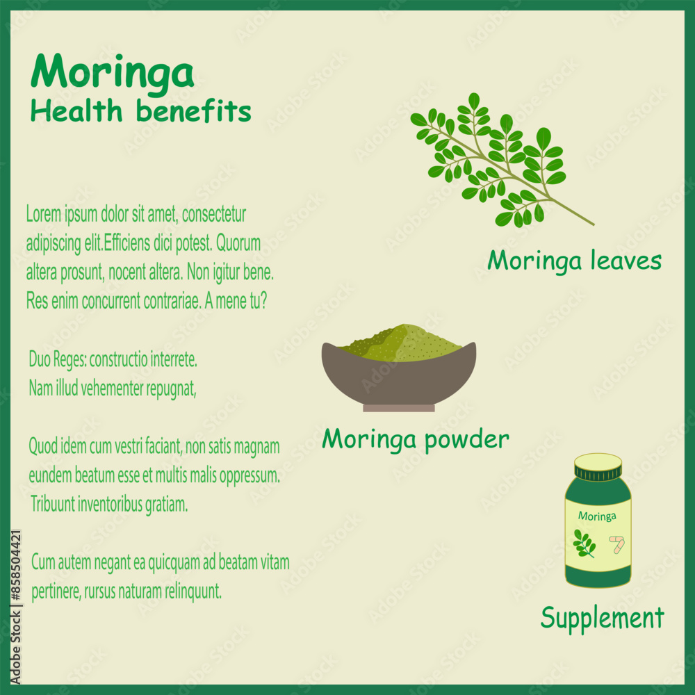 Moringa health benefits. Vector illustration showing moringa greens ...