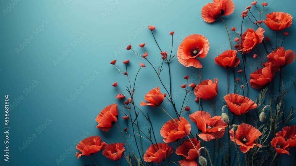 Red Poppy Banner on Blue Background: Symbol of Remembrance for Anzac ...