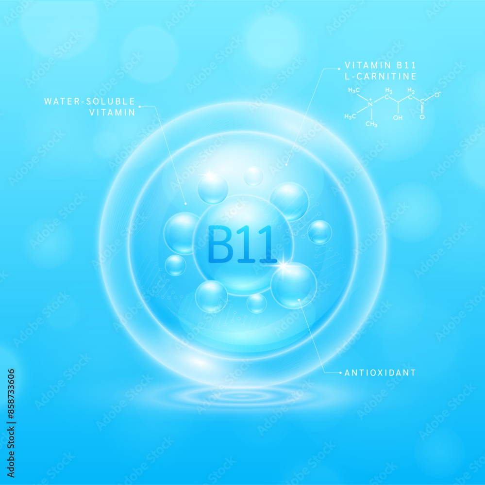 Vitamin B11 solution blue and chemical structure of L carnitine. Water ...