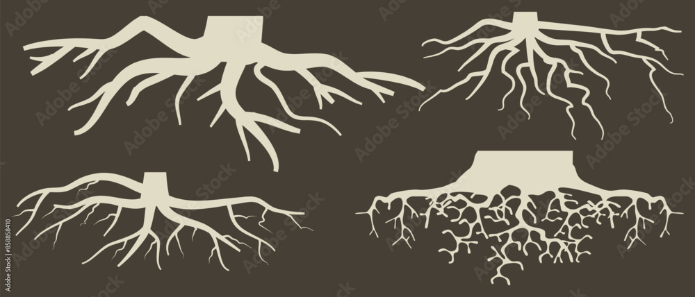 Various brown tree or shrub roots. Parts of plant, root system with ...