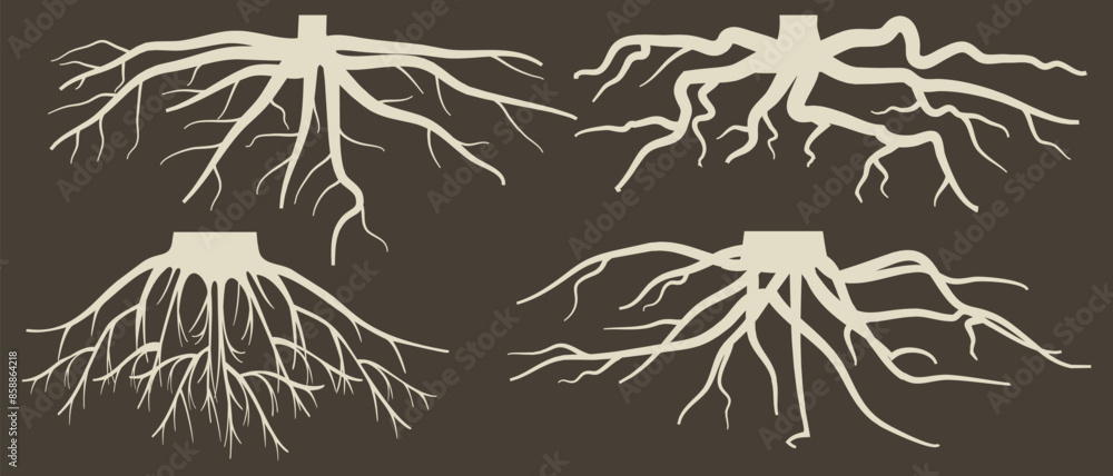Various brown tree or shrub roots. Parts of plant, root system with ...