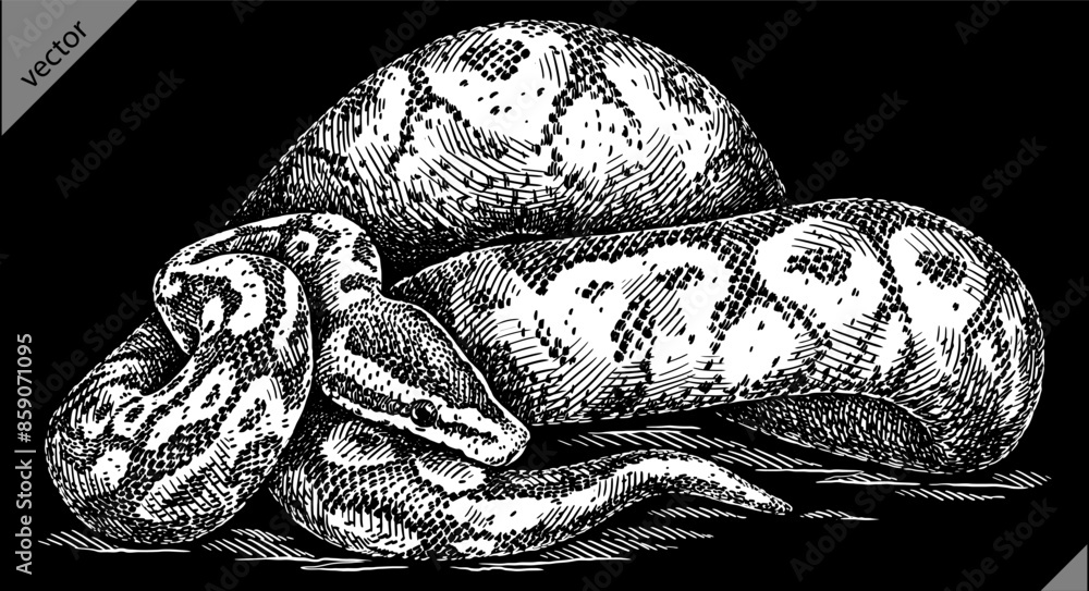 Vintage engraving isolated snake set illustration serpent ink sketch ...