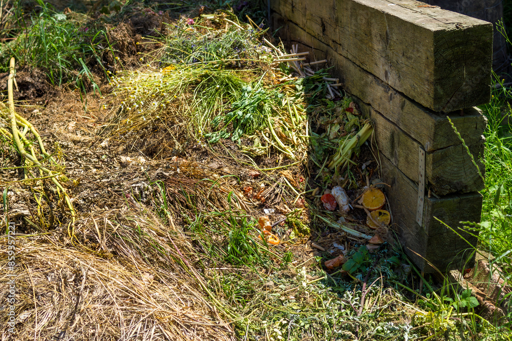 Tidying up the garden, a large compost heap of various plants and ...