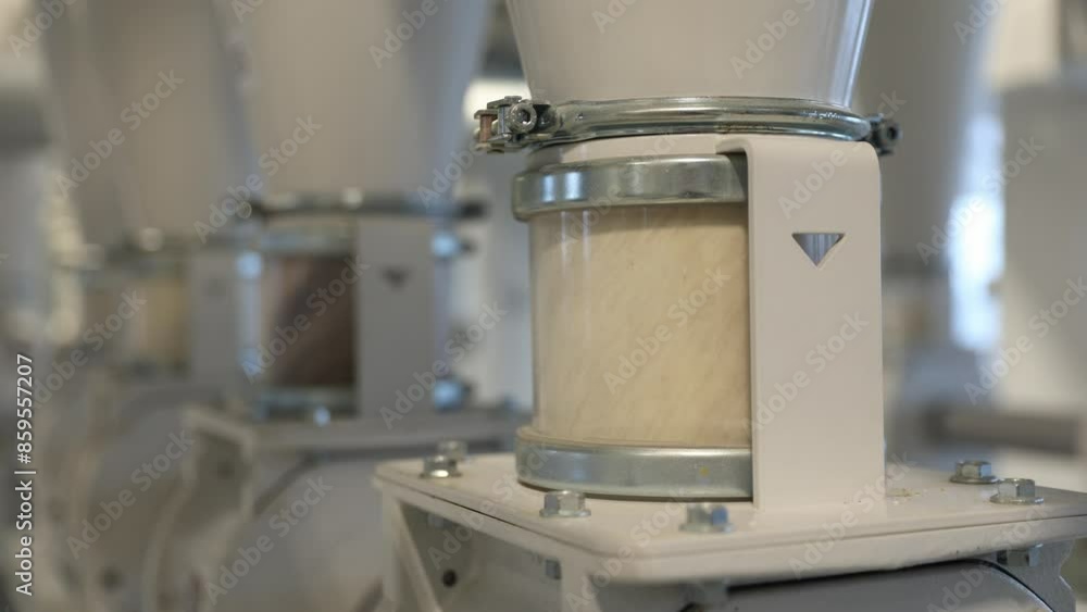 Modern flour mill. Manufacture of flour and cereals. Close up of wheat ...