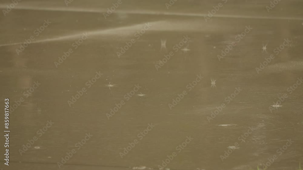 This video captures the serene and calming sight of rain falling on a ...