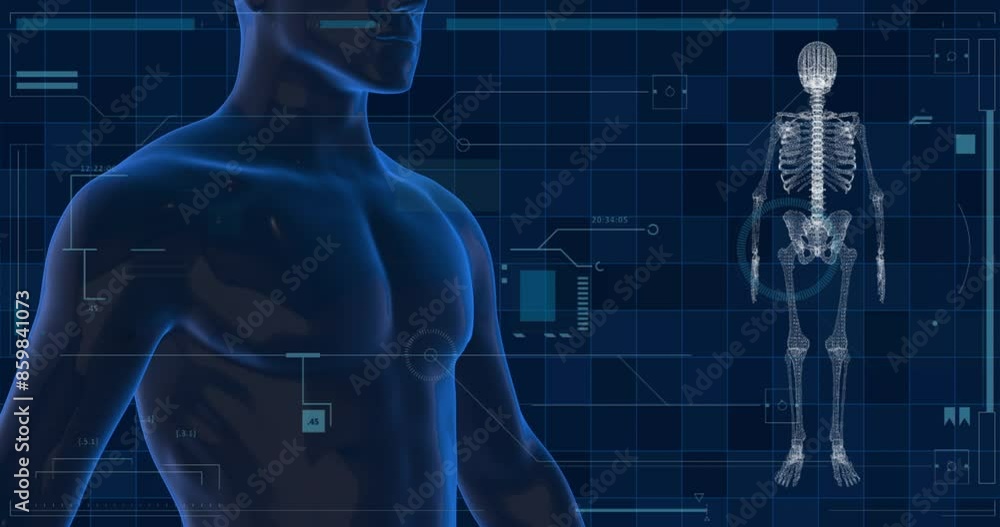 Digital 3D human and skeleton model for medical technology ...