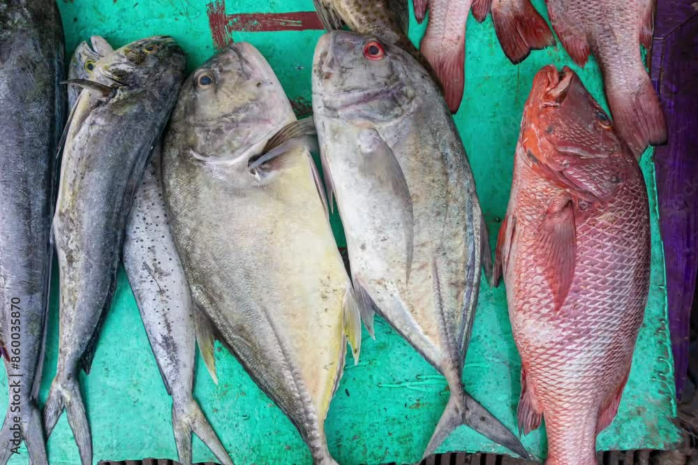 Fresh varieties of sea food meat like fishes, crabs, shrimp, prawns ...