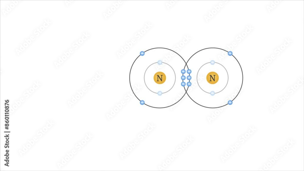 In a nitrogen molecule, a triple covalent bond forms by sharing three ...
