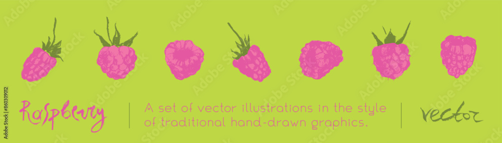 Vetor de Colorful raspberry icons. Color raspberries set of vector ...