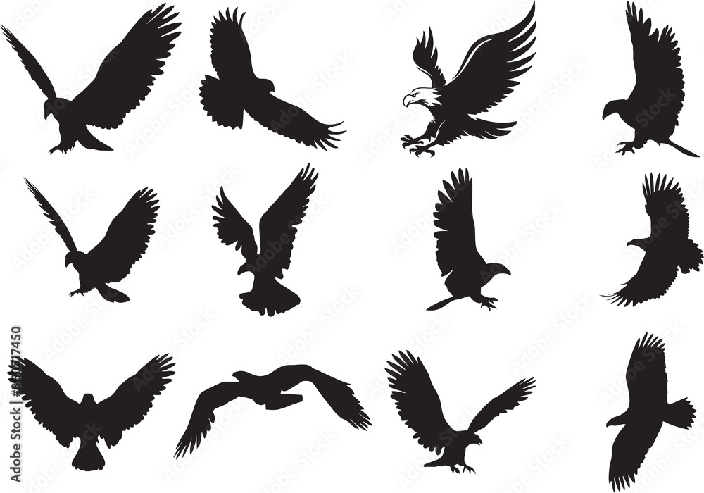 Eagle swoop attack, hand drawn hawk bird icons set. Eagle in high ...