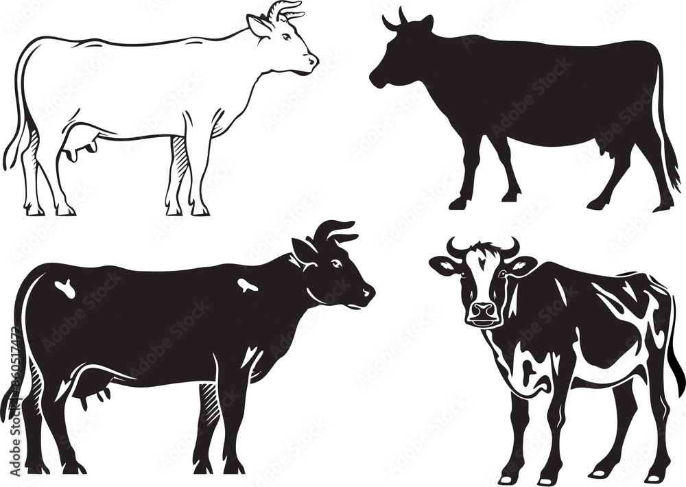Cows and buffalo in different poses and positions. Dairy products ...