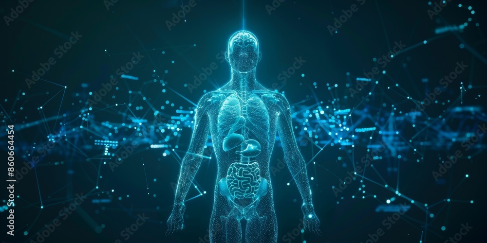 Holographic Human Body with Detailed Anatomy A highly detailed 3D ...