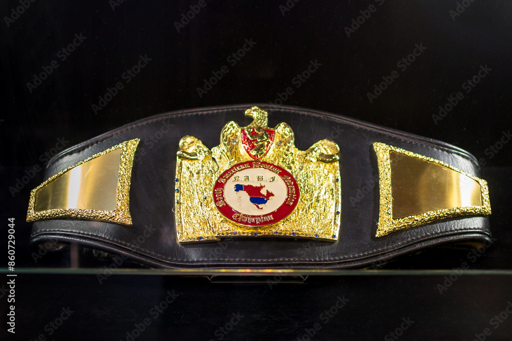 Ukraine. Boxing NABF championship belt. North American boxing ...