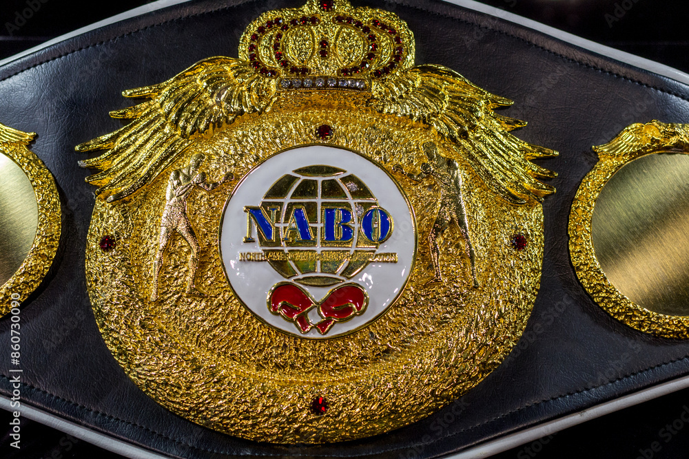 Ukraine. Fragment, the main part of the Boxing NABO championship belt ...