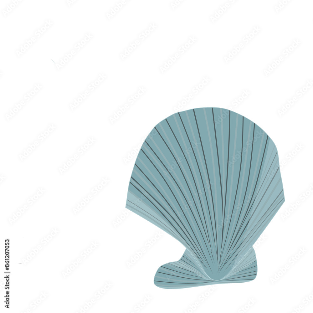 Doodle seashell cute sea shell beach summer illustration hand drawn ...