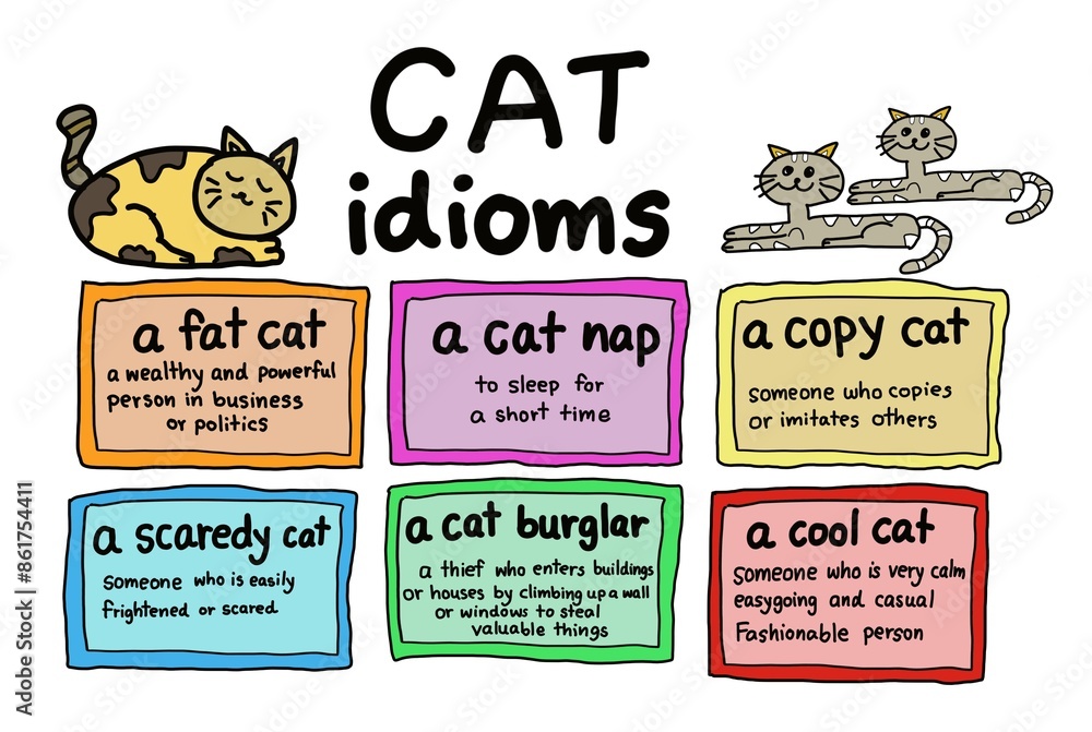 Hand drawn picture colorful frames with texts about cat idioms with ...