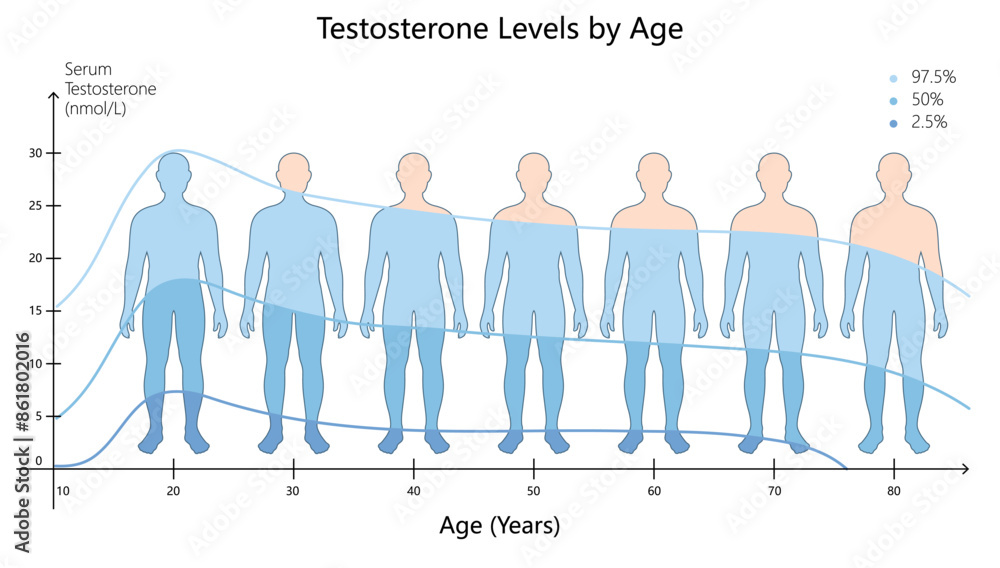 variation in serum testosterone levels across different ages ...