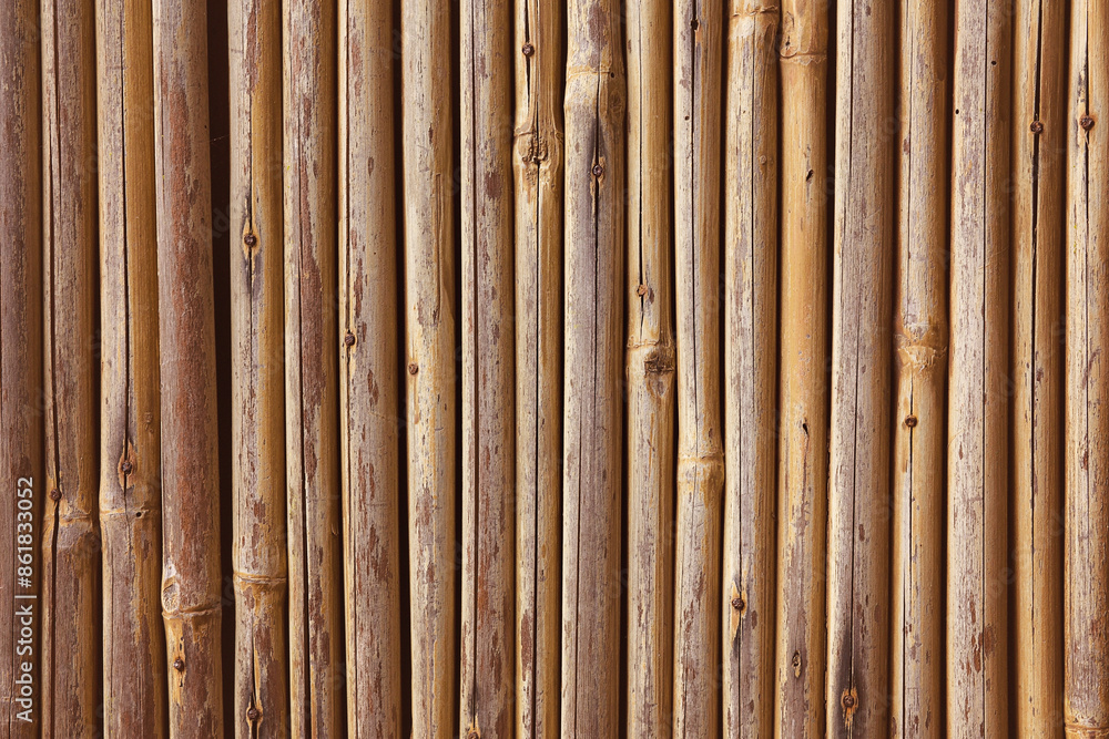 bamboo background, bamboo, wood, row, brown, natural, wall, vertical ...