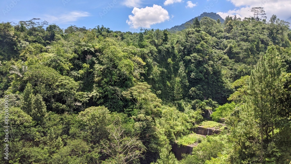 View of the Kalikuning river filled with trees and bushes. The ...