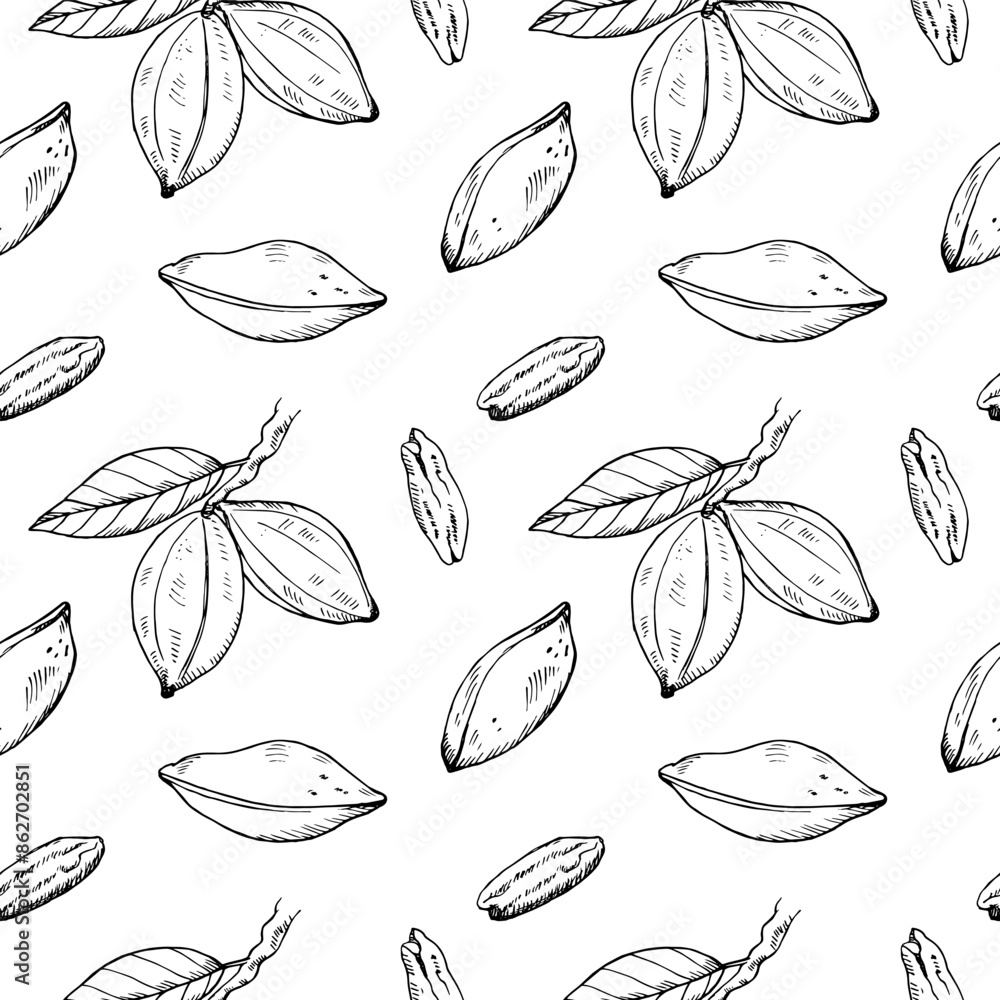 Pecan nuts Seamless Pattern. Repeating background with pecan plant ...