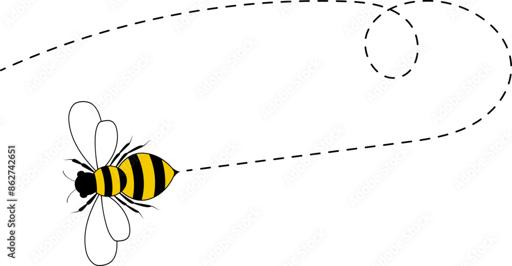 Bee flying path. A bee flying in a dotted line. The flight path of bee ...
