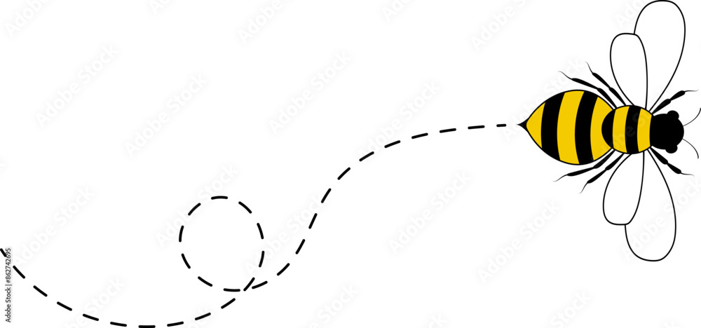 Bee flying path. A bee flying in a dotted line. The flight path of bee ...