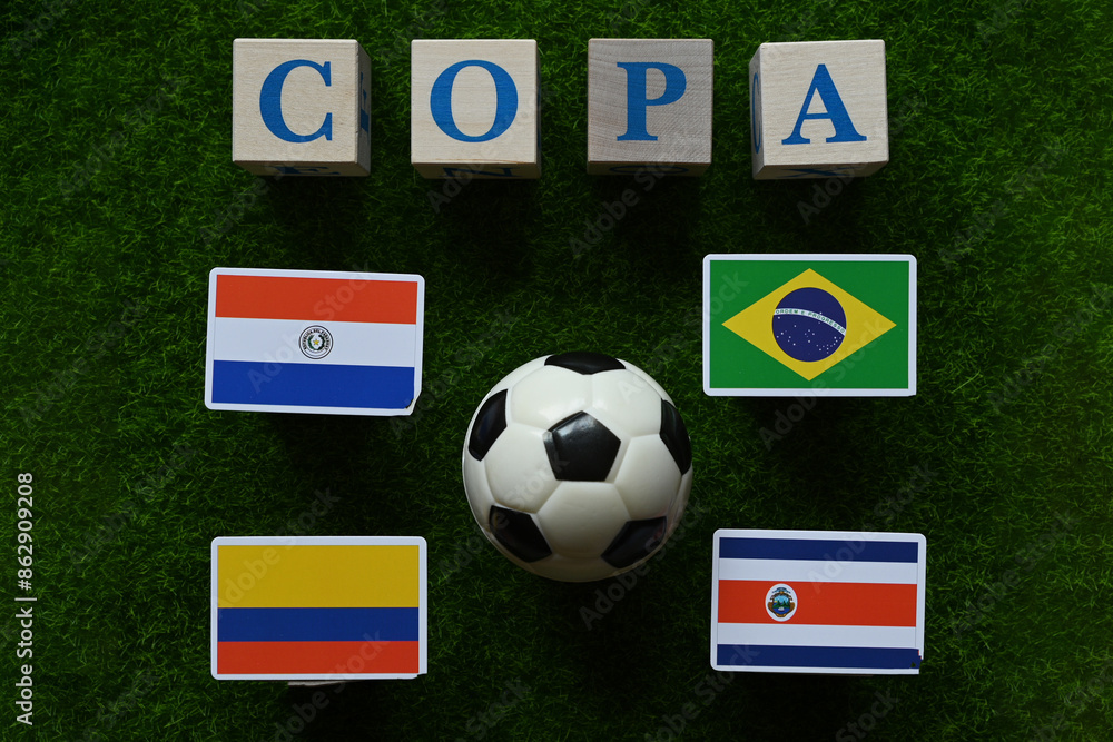 Flags of the participating teams of the America's Cup Soccer Group D ...