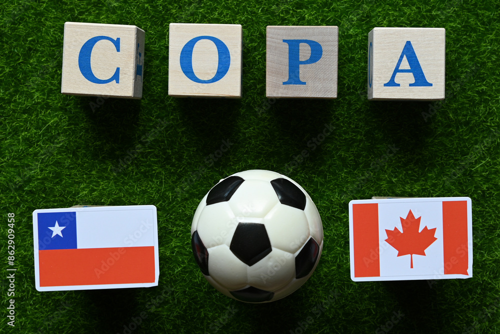 Flags of the participating teams of the America's Cup Soccer Group A ...