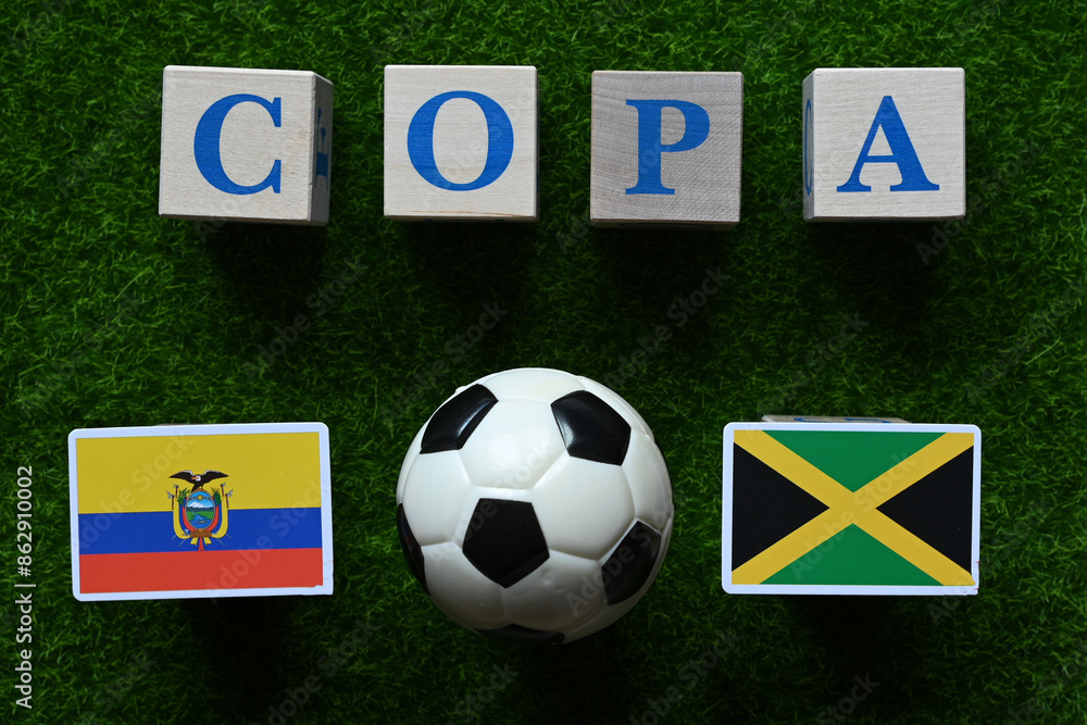 Flags of the participating teams of the America's Cup Soccer Group B ...