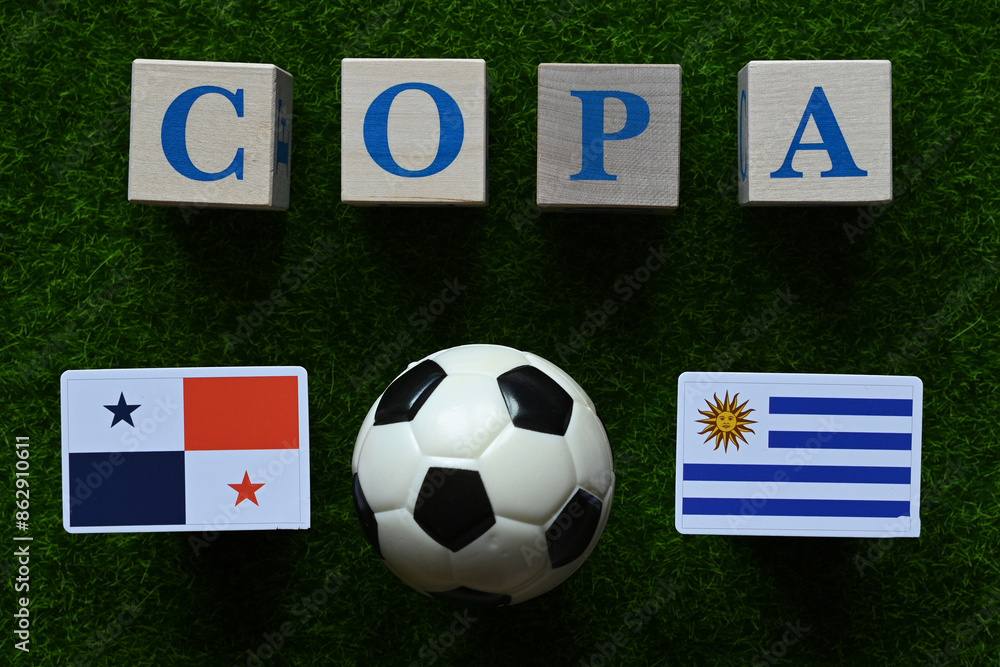 Flags of the participating teams of the America's Cup Soccer Group C ...