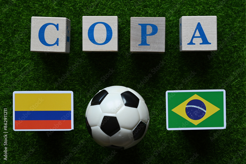 Flags of the participating teams of the America's Cup Soccer Group D ...