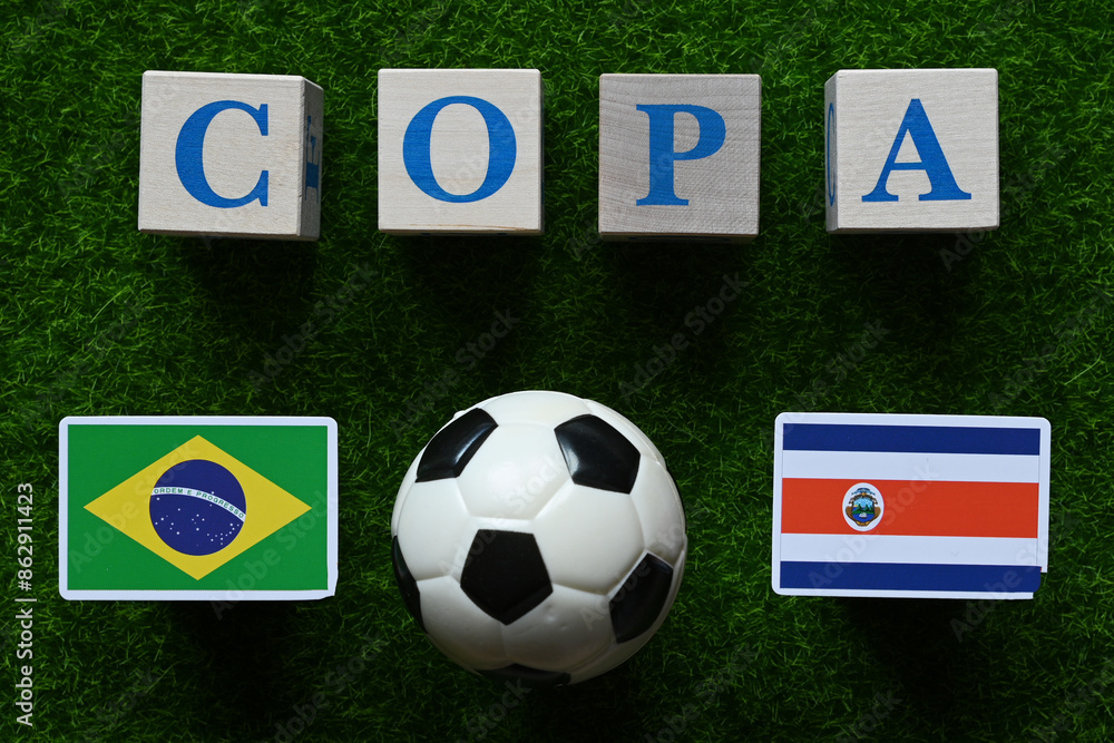 Flags of the participating teams of the America's Cup Soccer Group D ...