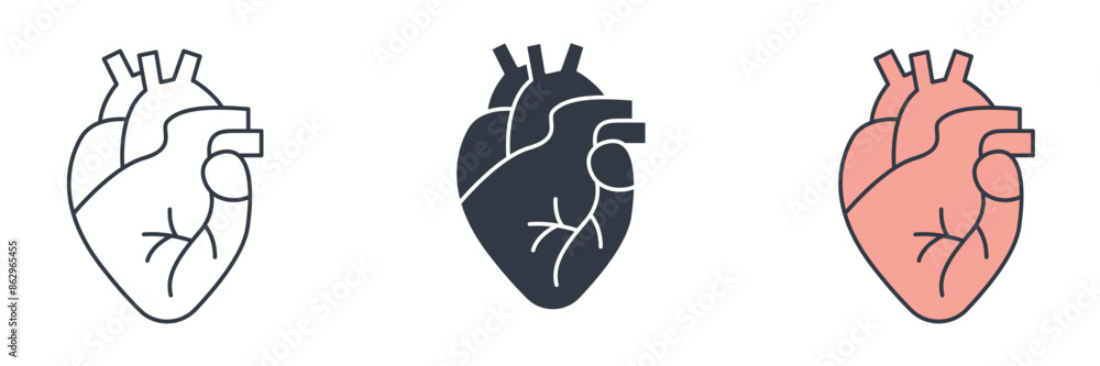 Human Heart Icon symbol vector illustration isolated on white ...