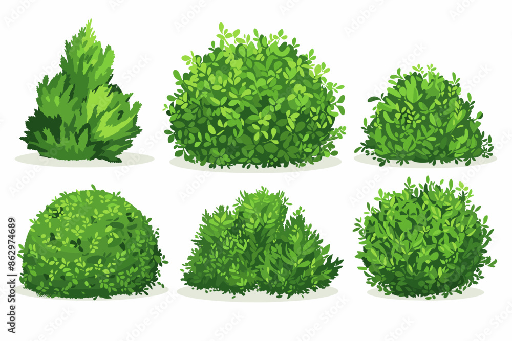 Set of vector bush illustrations on a white background. Green flat ...