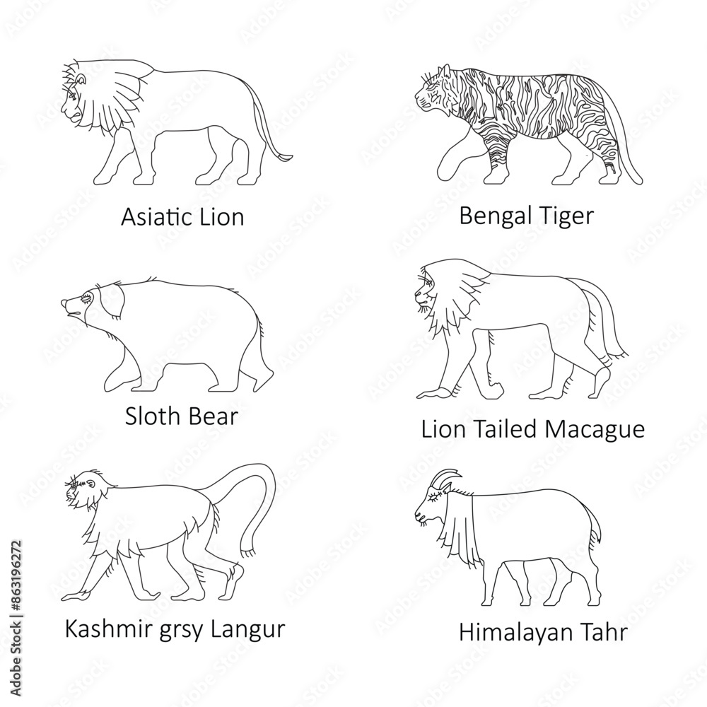 Wildlife Icons of India: Asiatic Lion, Bengal Tiger, Sloth Bear, Lion ...