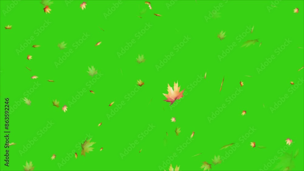 Leaves falling animation on green screen 4k. leaf falling. realistic ...
