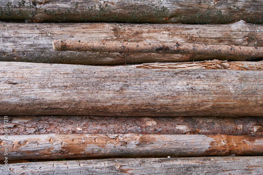Wood logs background. Natural wooden background. Rows of piled of logs ...