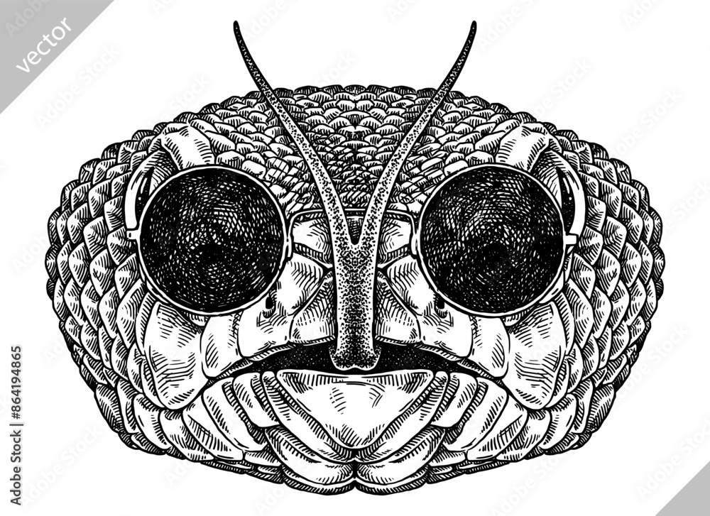 Vintage engraving isolated snake glasses dressed fashion set ...