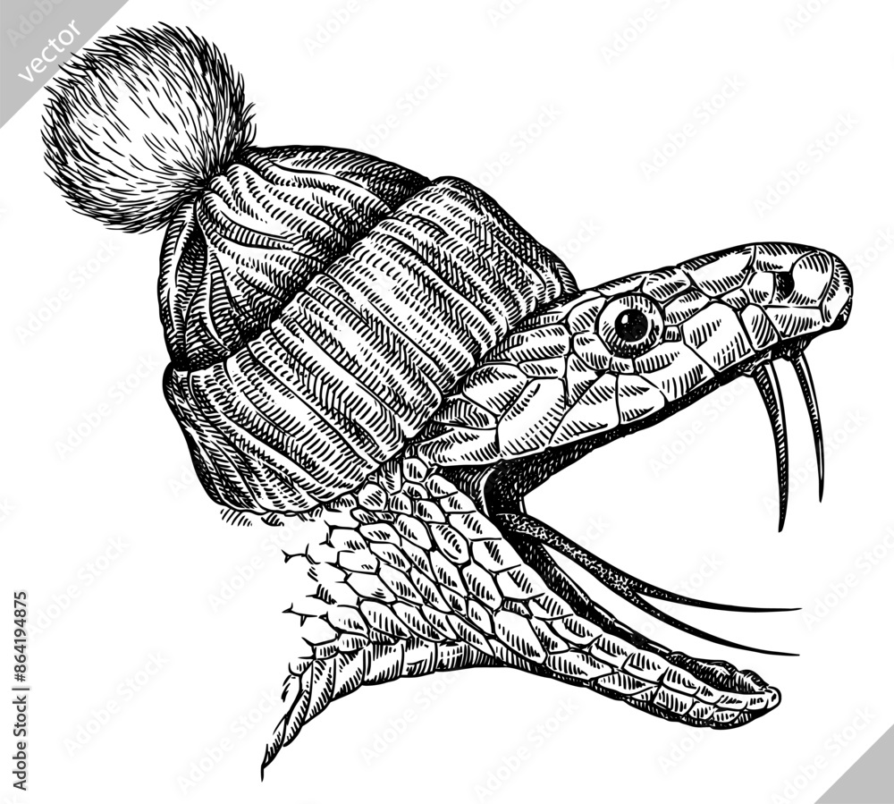 Vintage engraving isolated snake glasses dressed fashion set ...