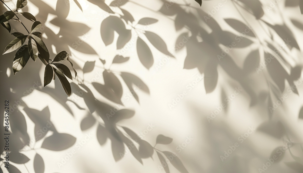 Abstract illustration, high resolution, depicting the shadow of tree ...