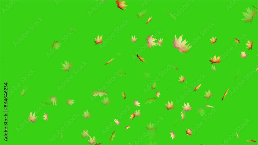 Leaves falling animation on green screen 4k. leaf falling. realistic ...