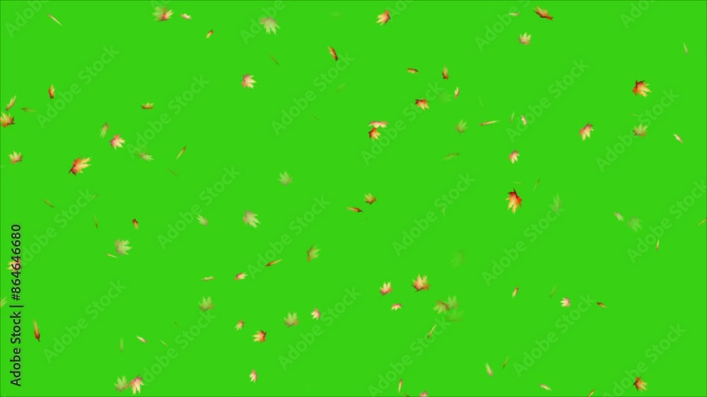 Leaves falling animation on green screen 4k. leaf falling. realistic ...