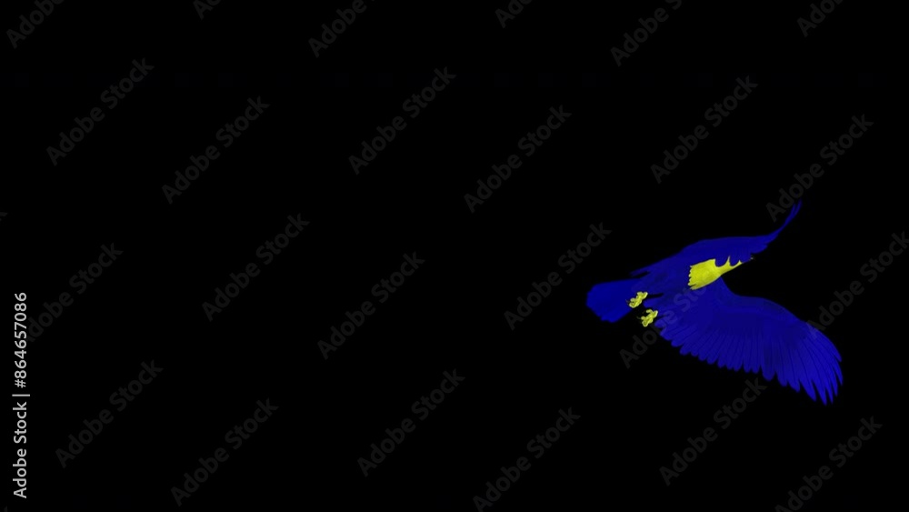 Eagle of Ukraine Flying Over Screen - I - Alpha Channel - Symbolic ...