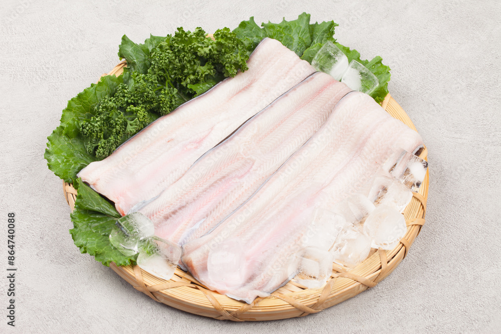 A freshwater fish of the eel family. The body is about 60cm long, thin ...